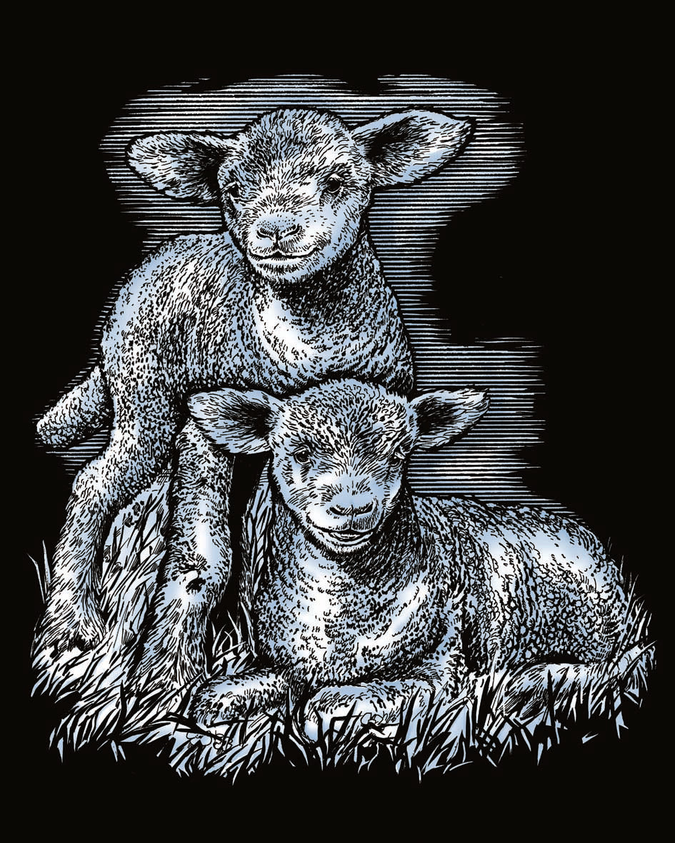 Lamb, Artfoil Silver
